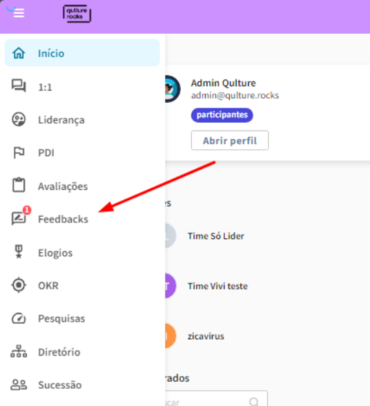 Como apagar um Feedback na plataforma da Qulture.Rocks